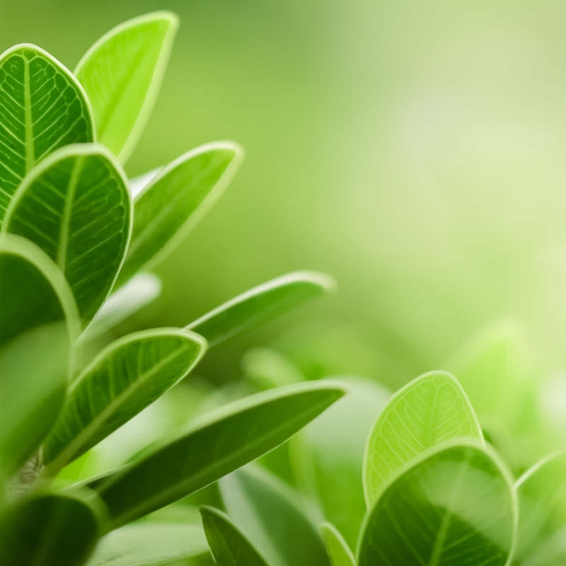 Index of /wp-content/uploads/2023/12/